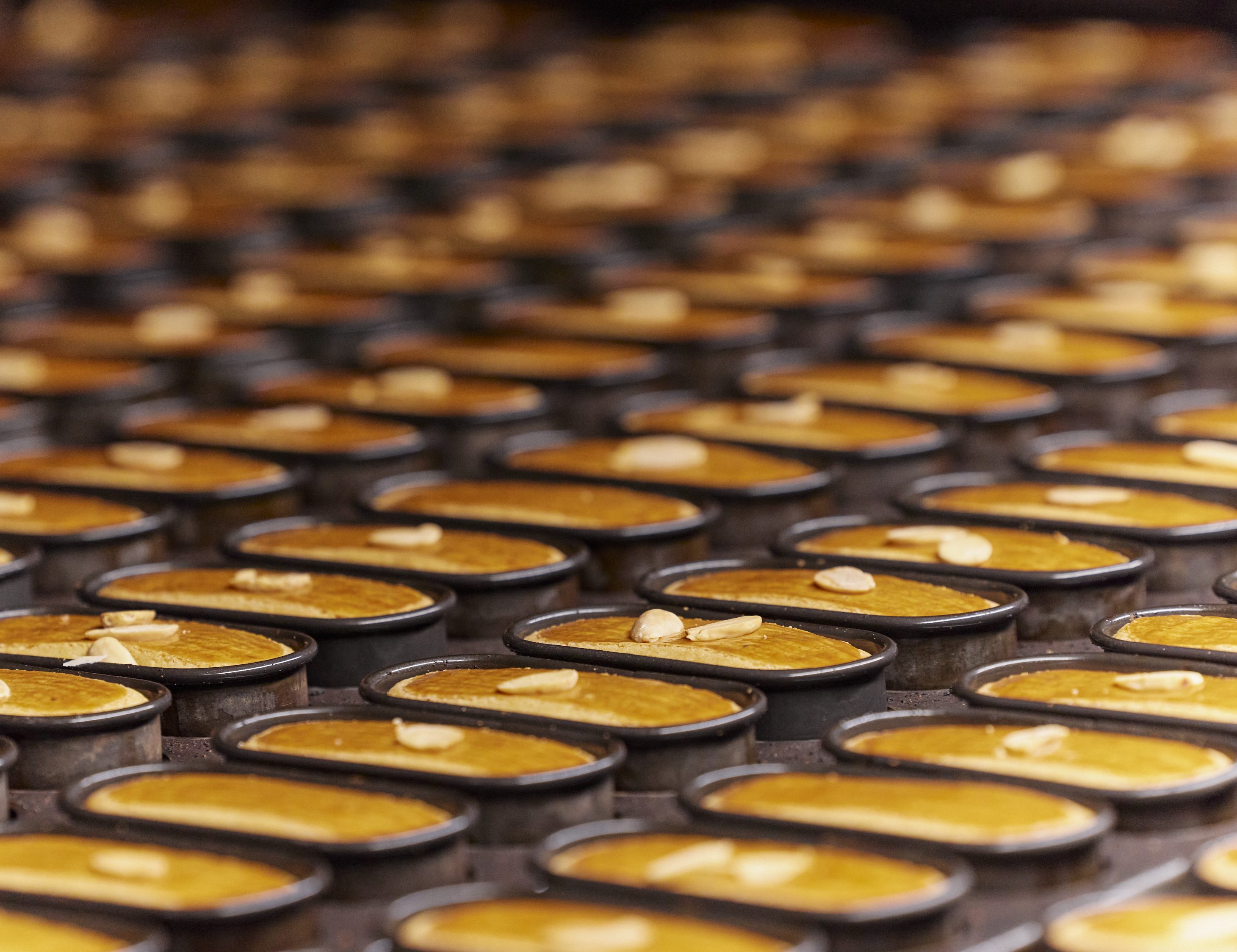 Biscuit International, A Platinum Equity Portfolio Company